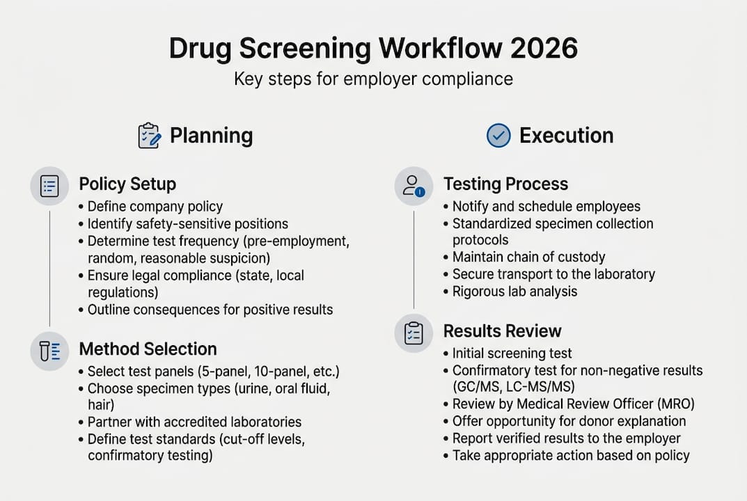 Drug screening workflow: Complete employer guide 2026