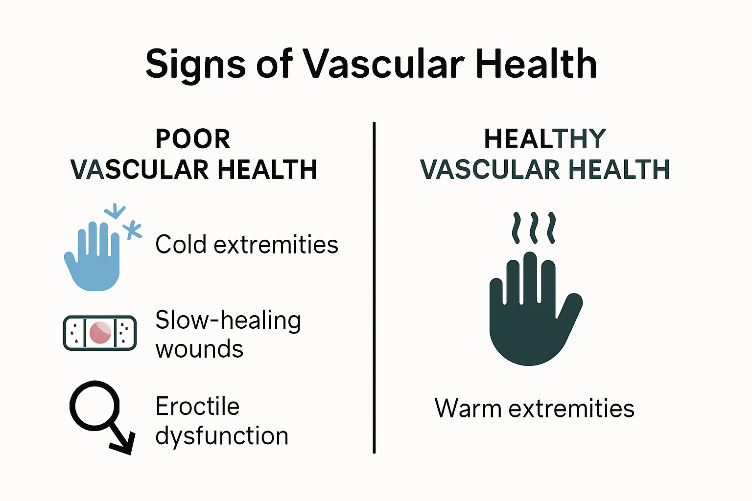 Understanding Boosting Vascular Health For Better Wellness