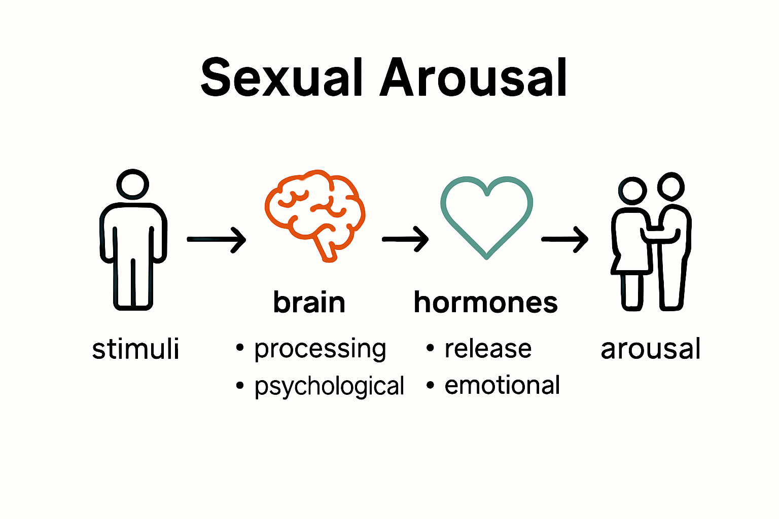 Understanding Sexual Arousal: A Comprehensive Explanation