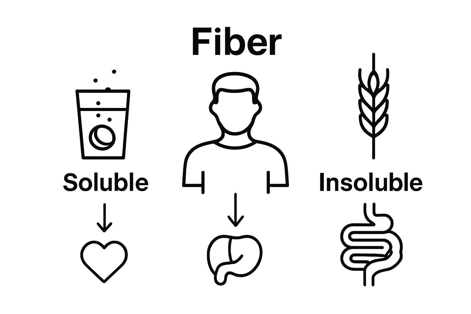 Understanding Fiber and Male Health: A Comprehensive Guide
