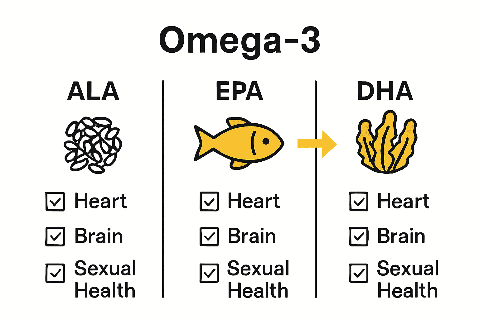 Complete Guide to Omega-3 Benefits for Men - Ultra Bann – Best ...