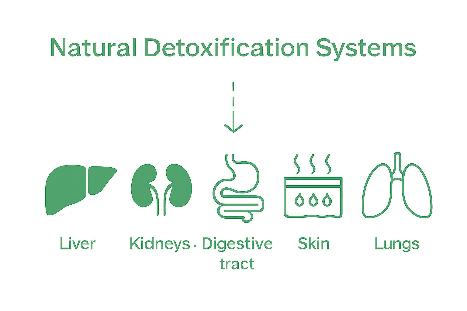 Understanding Detox Retreats Thailand: A Comprehensive Guide