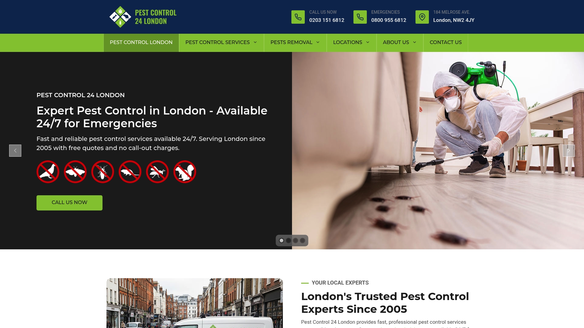 Natural pest control for London homes: Eco-friendly solutions