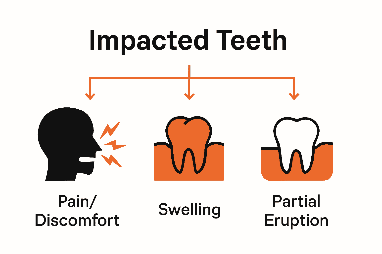 What Is an Impacted Tooth? Complete Guide for 2025 | Paynless