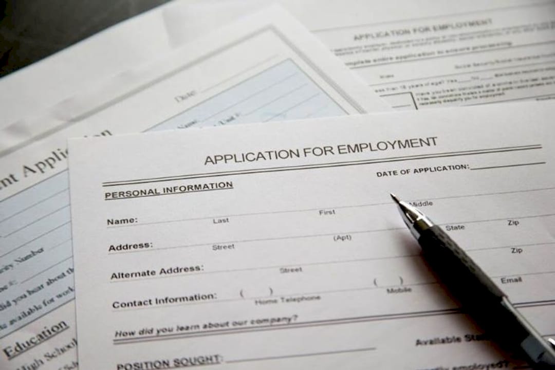 Job application strategy: your 2026 guide to success
