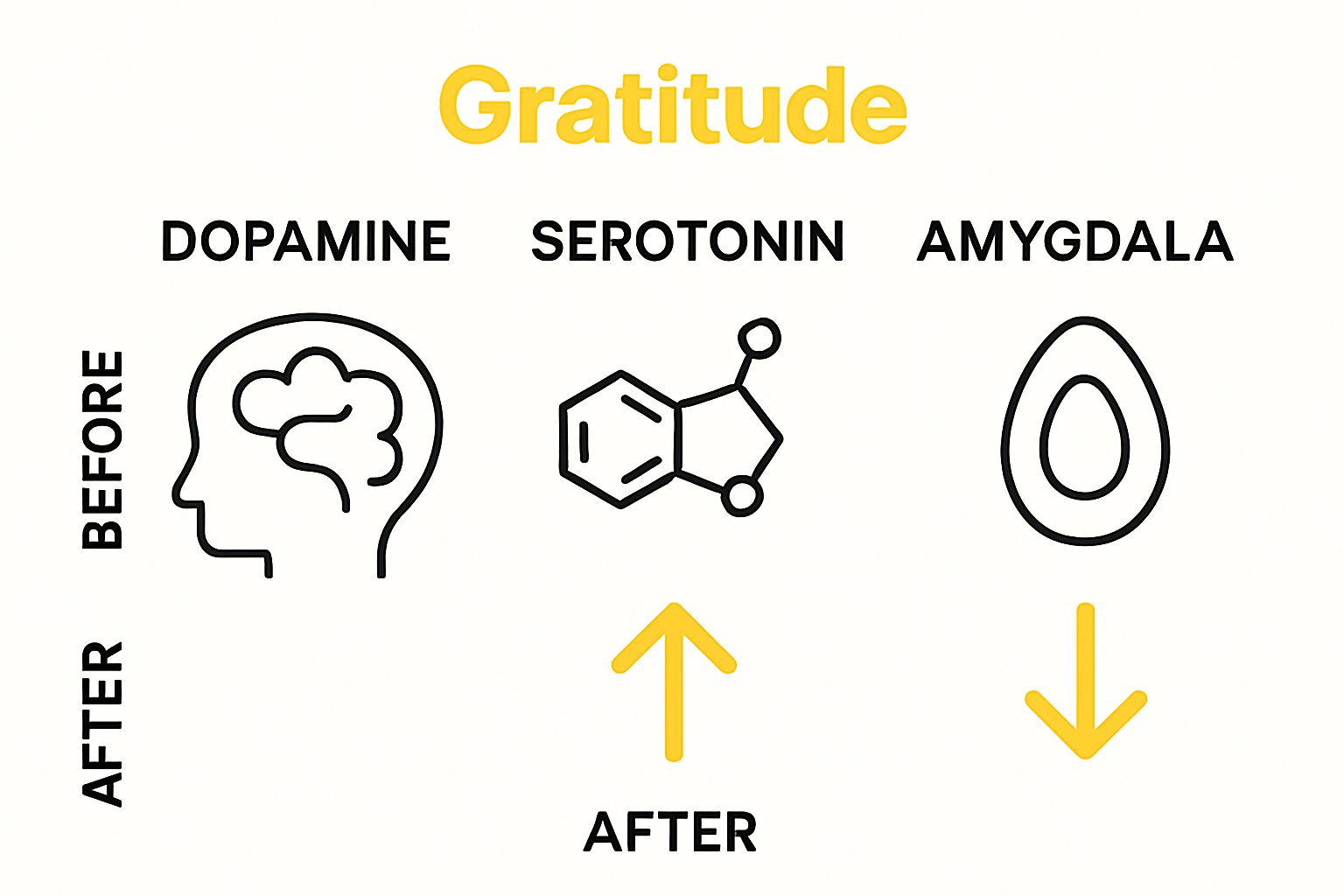 Understanding the Power of Gratitude and Its Impact - Plentiful