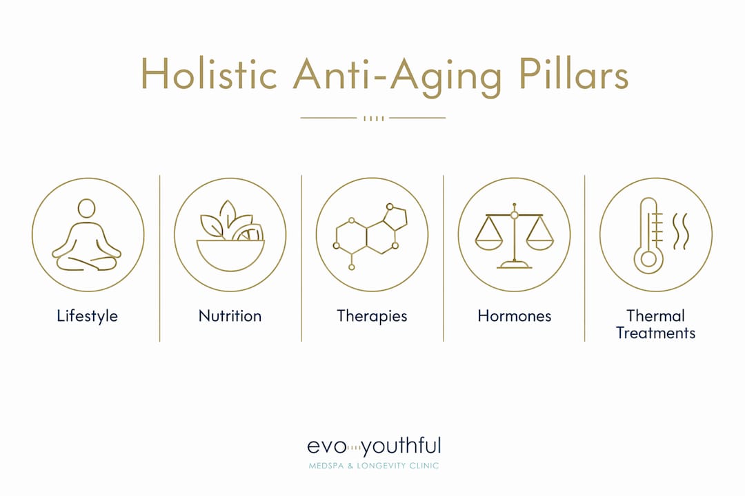 Holistic Anti-Aging Approach: Your Complete 2026 Guide | evoyouthful Blog