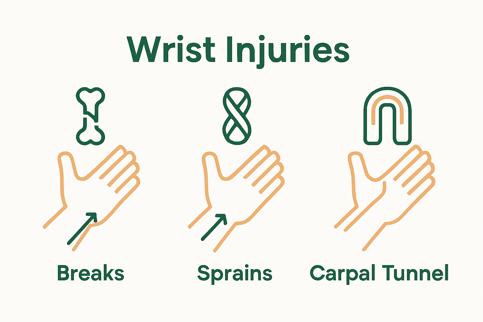 Complete Guide to Wrist Anatomy Basics - Austin Hand To Shoulder