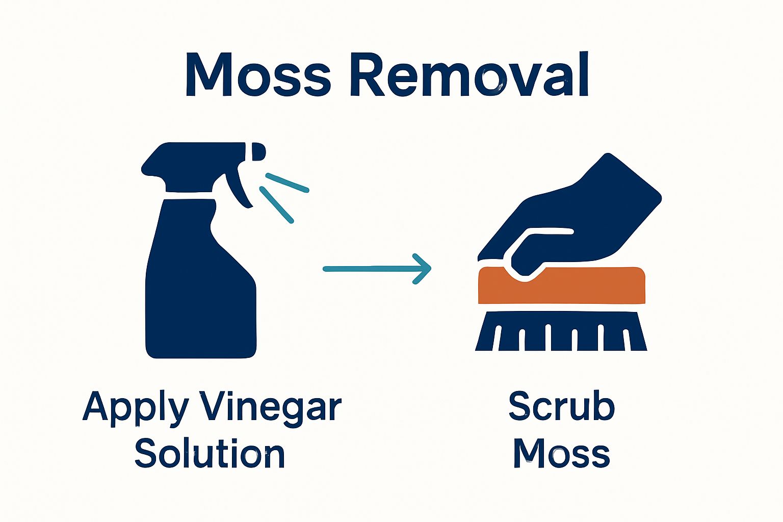 How to Clean Moss Off Brick for a Beautiful Home | Chicago Home Inspect LLC