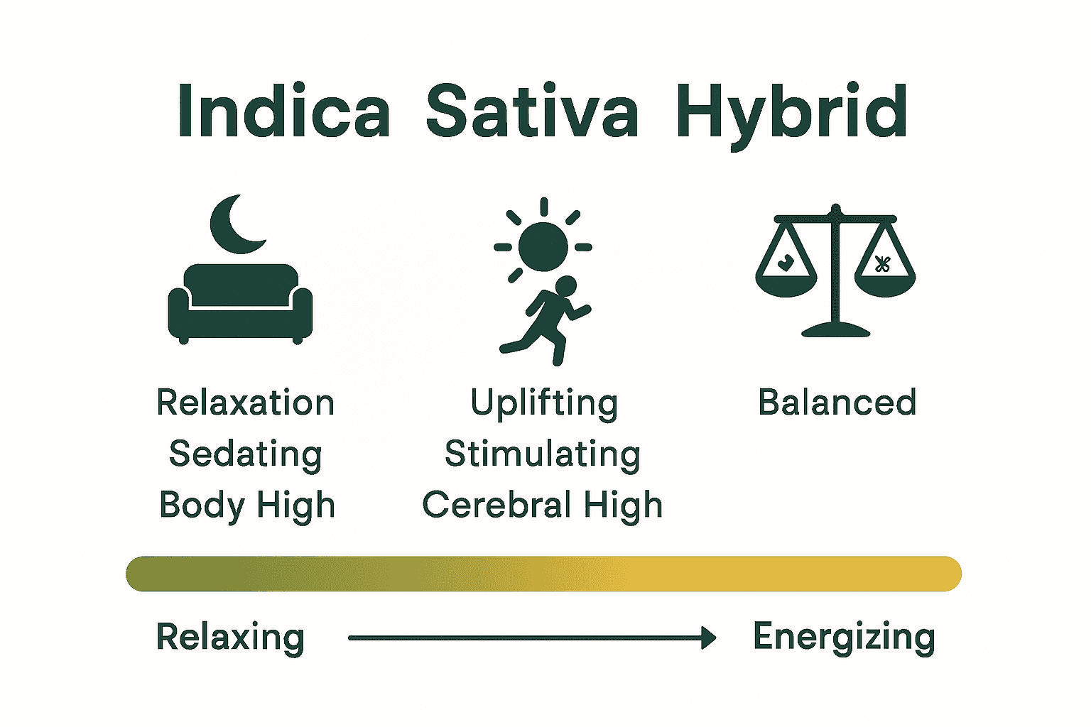Cannabis Strain Types Explained: Indica, Sativa, Hybrid