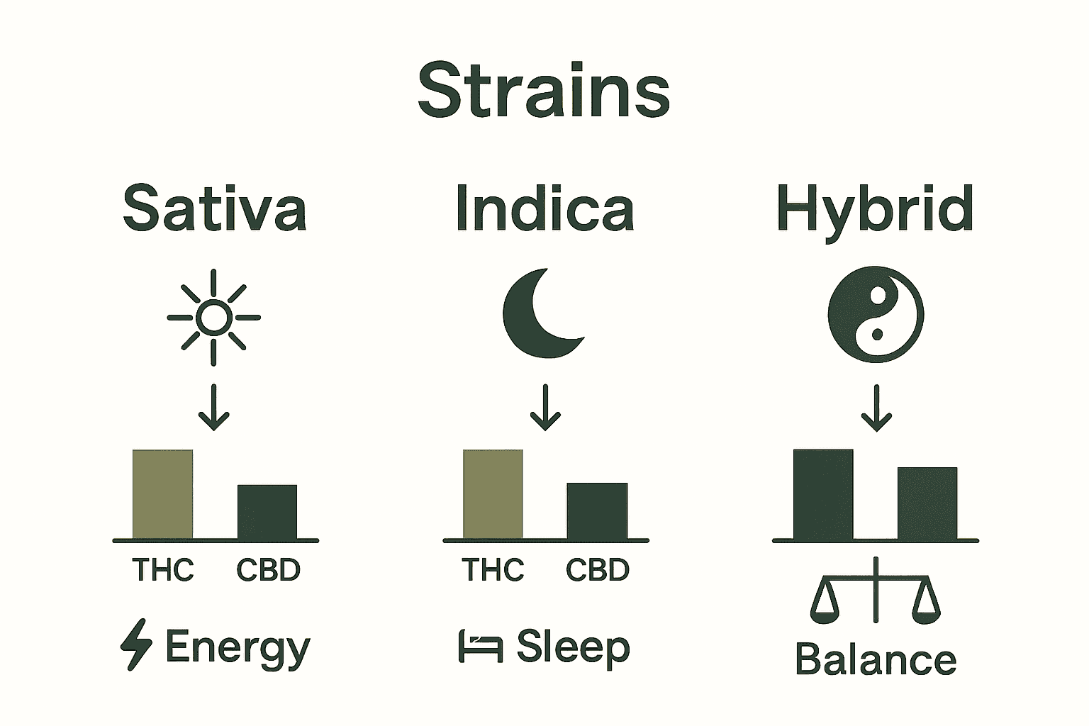 Cannabis Flower Explained: Types, Quality, and Laws