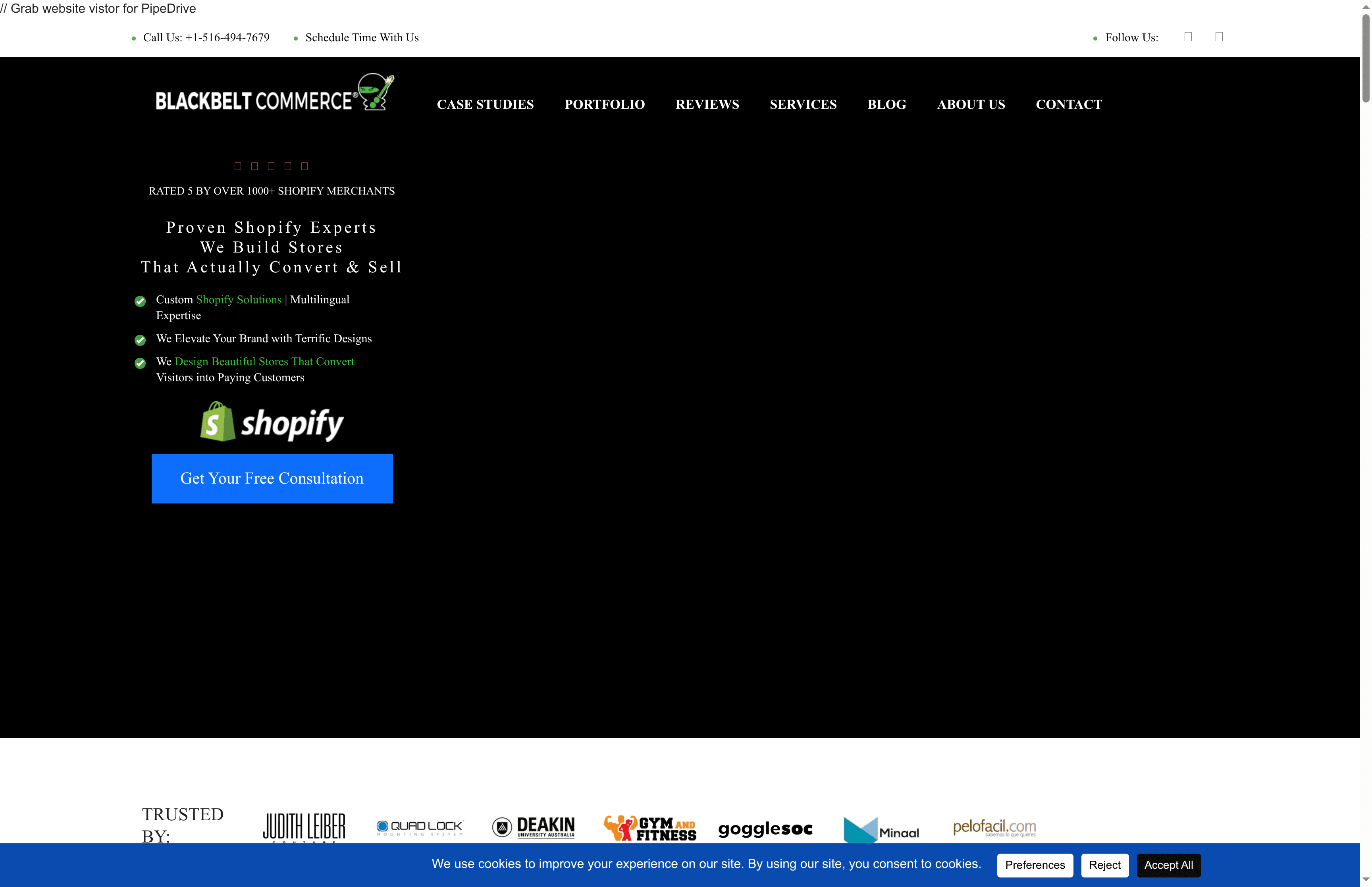 Responsive Ecommerce Design: Boosting Conversions Online