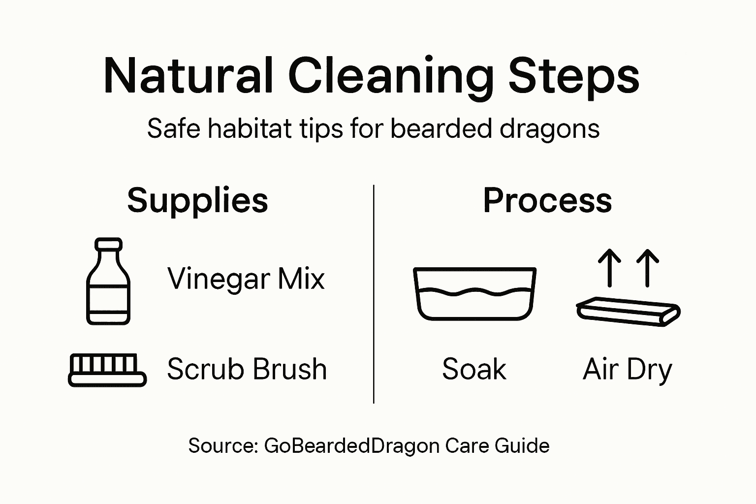 How to Clean Bearded Dragon Accessories Naturally - Go BEARDED DRAGON