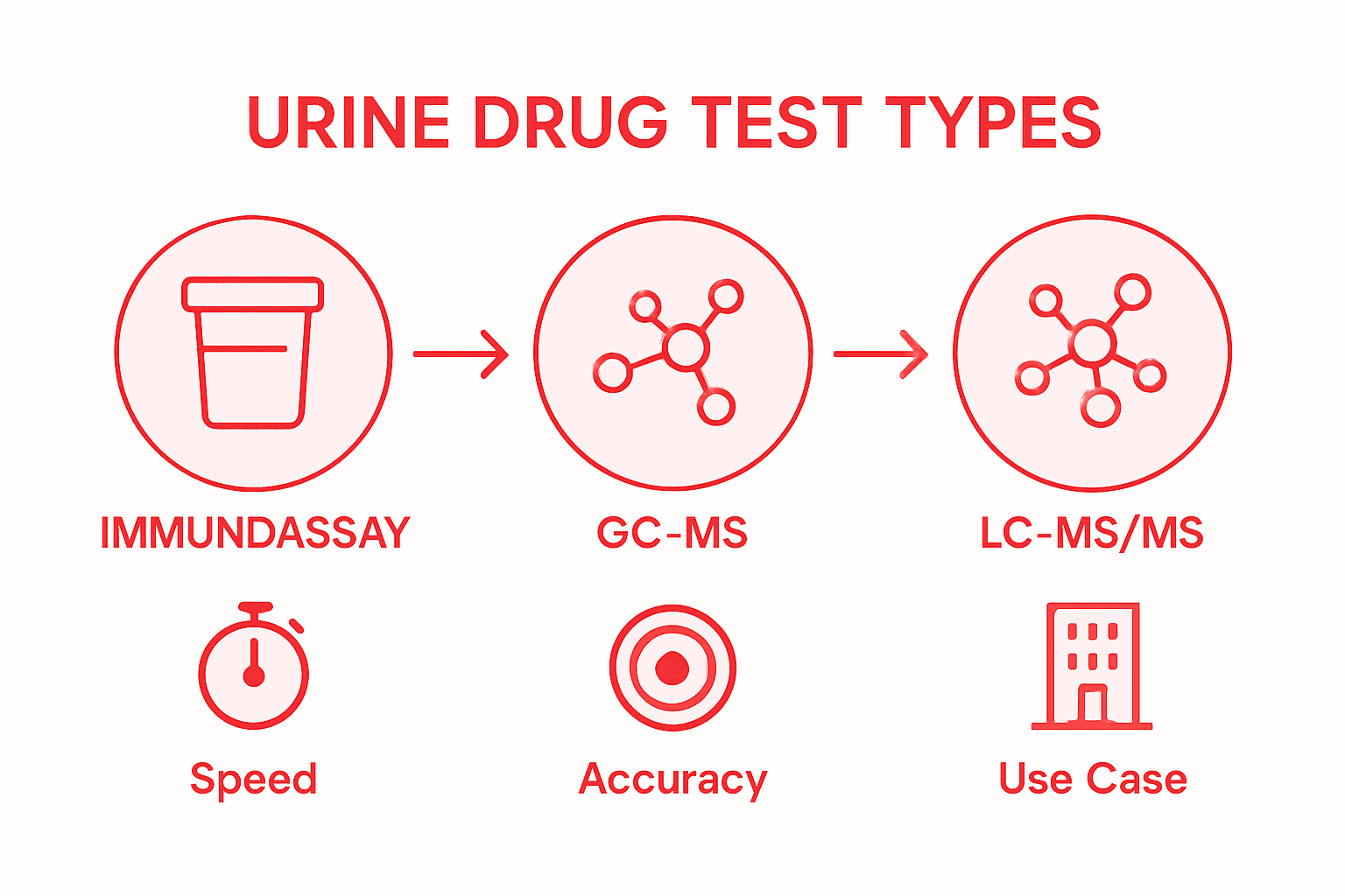 Urine Drug Testing: Impact on Safety and Compliance